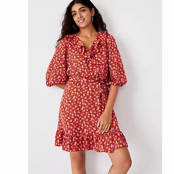 Ann Taylor | Dresses | Nwt Ann Taylor Ruffle Neck Dress | Poshmark